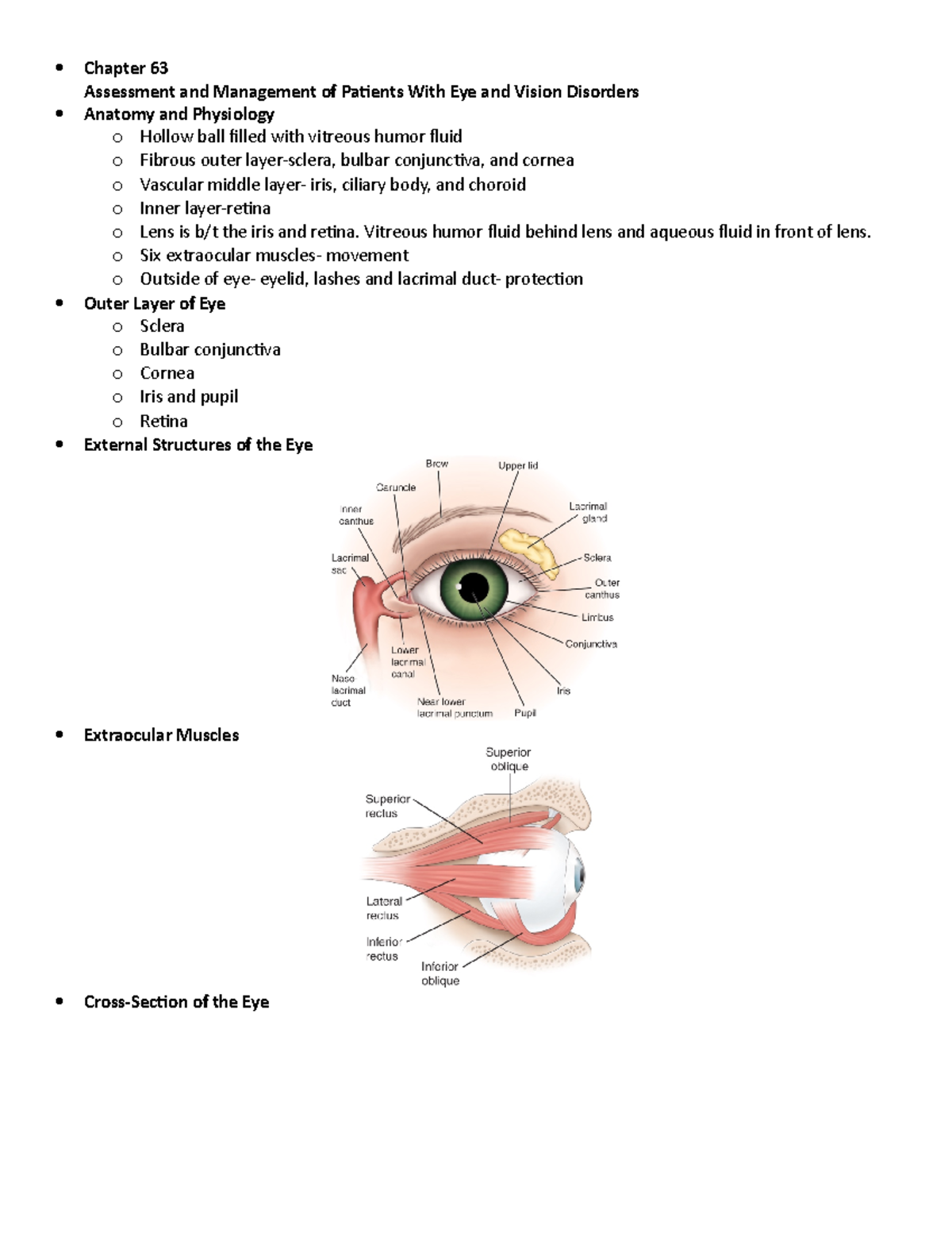 Ch. 63 Eyes - Eyes lecture notes for acute nursing. - Chapter 63 ...