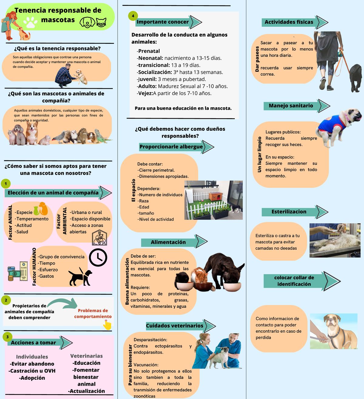 Tenencia responsable de mascotas - 1 Propietarios de animales de compañía deben comprender 2 ...
