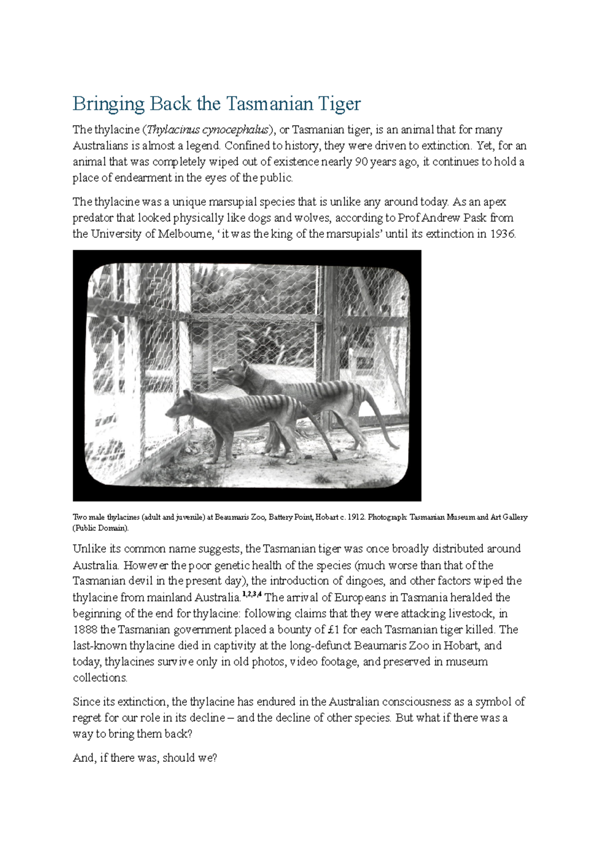 Bringing Back the Tasmanian Tiger - Confined to history, they were ...