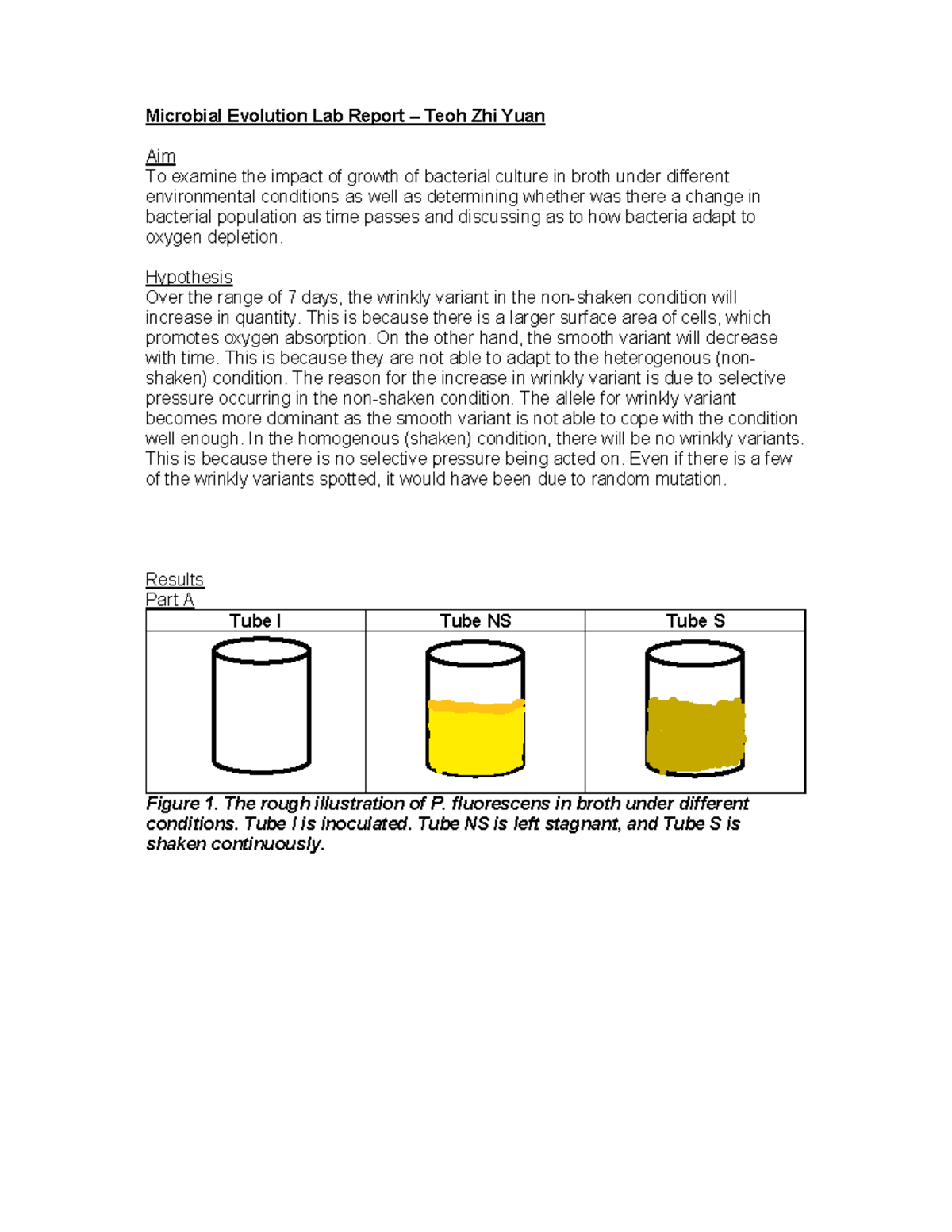 Bio1022 microbial lab report - Microbial Evolution Lab Report – Teoh ...