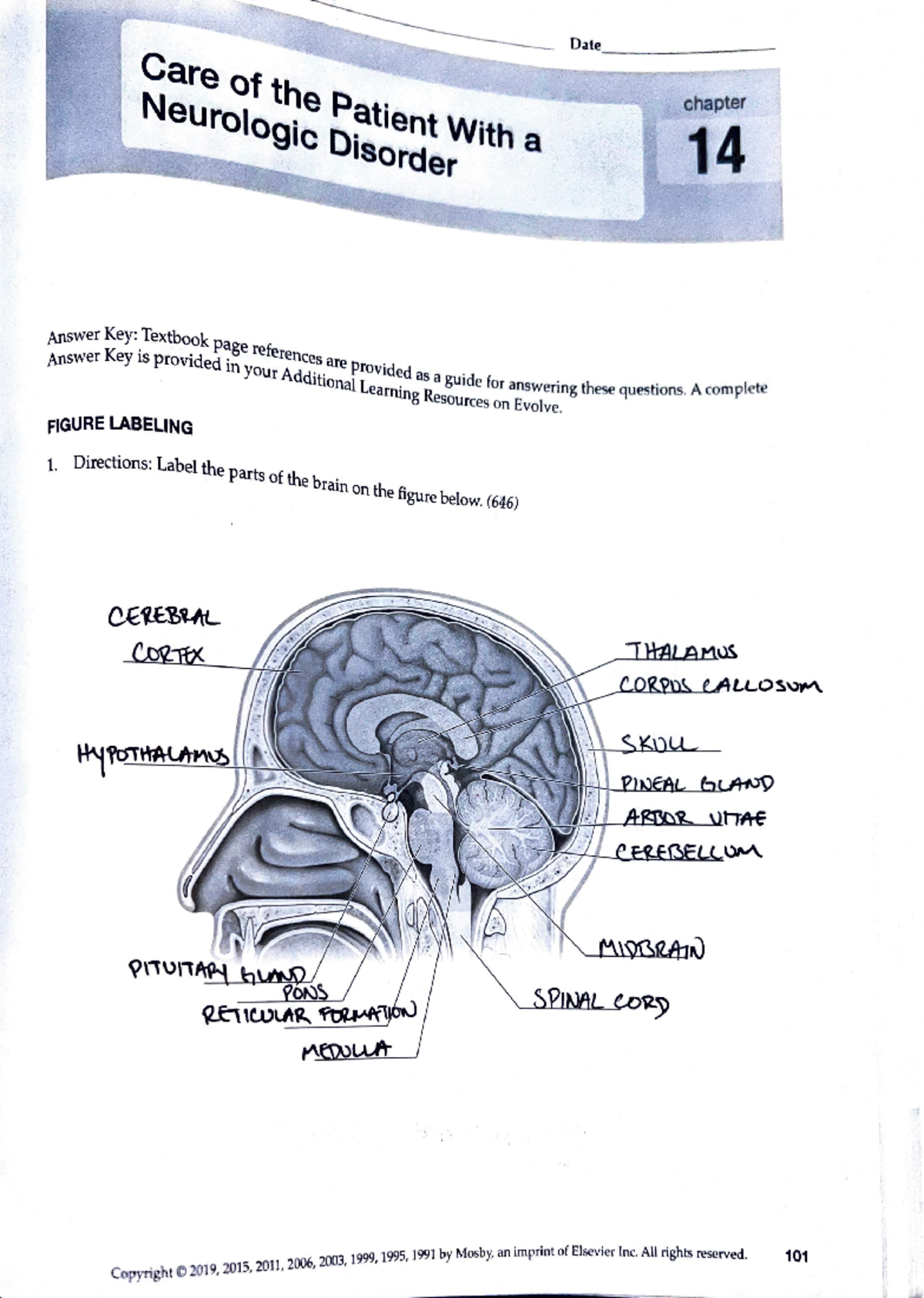 AHN - CH 14 - Study Guide - Due April 6 - Date Care Neurologic of the ...