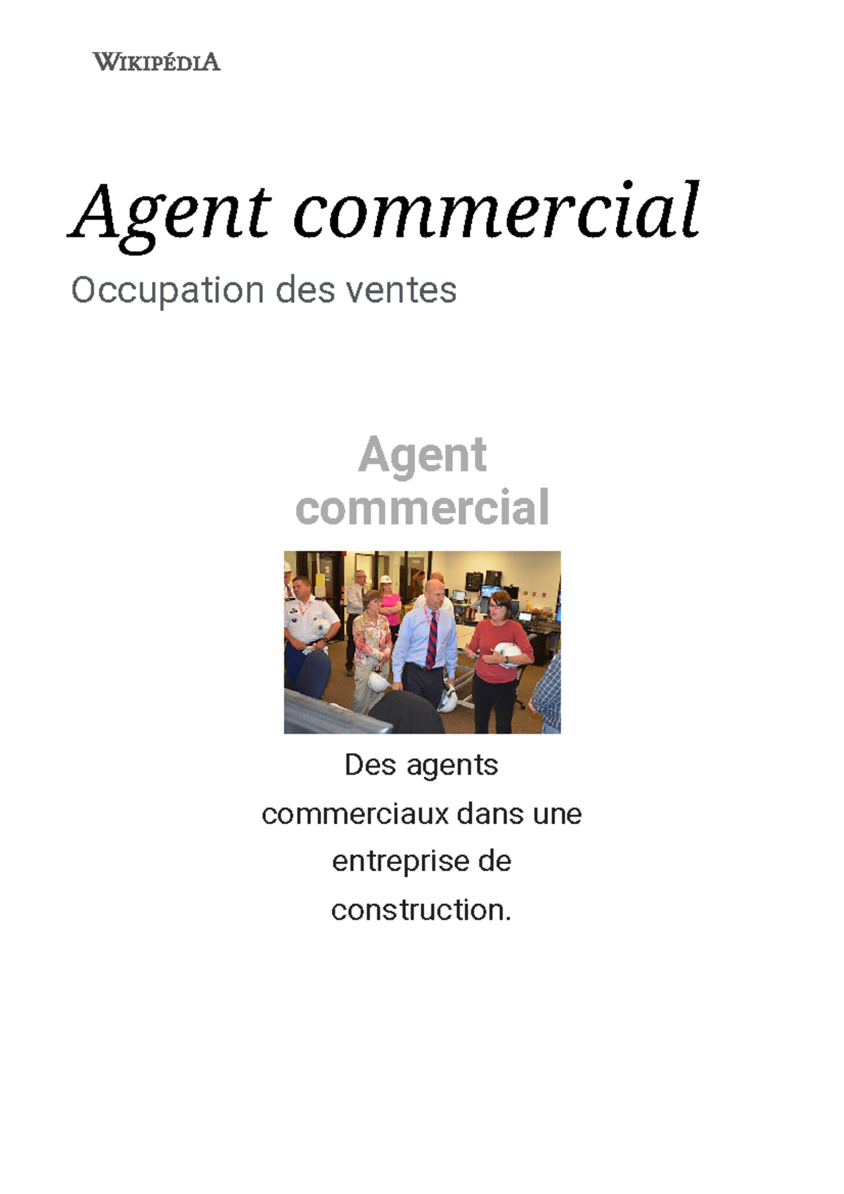 Agent commercial - Agent commercial Occupation des ventes Agent ...