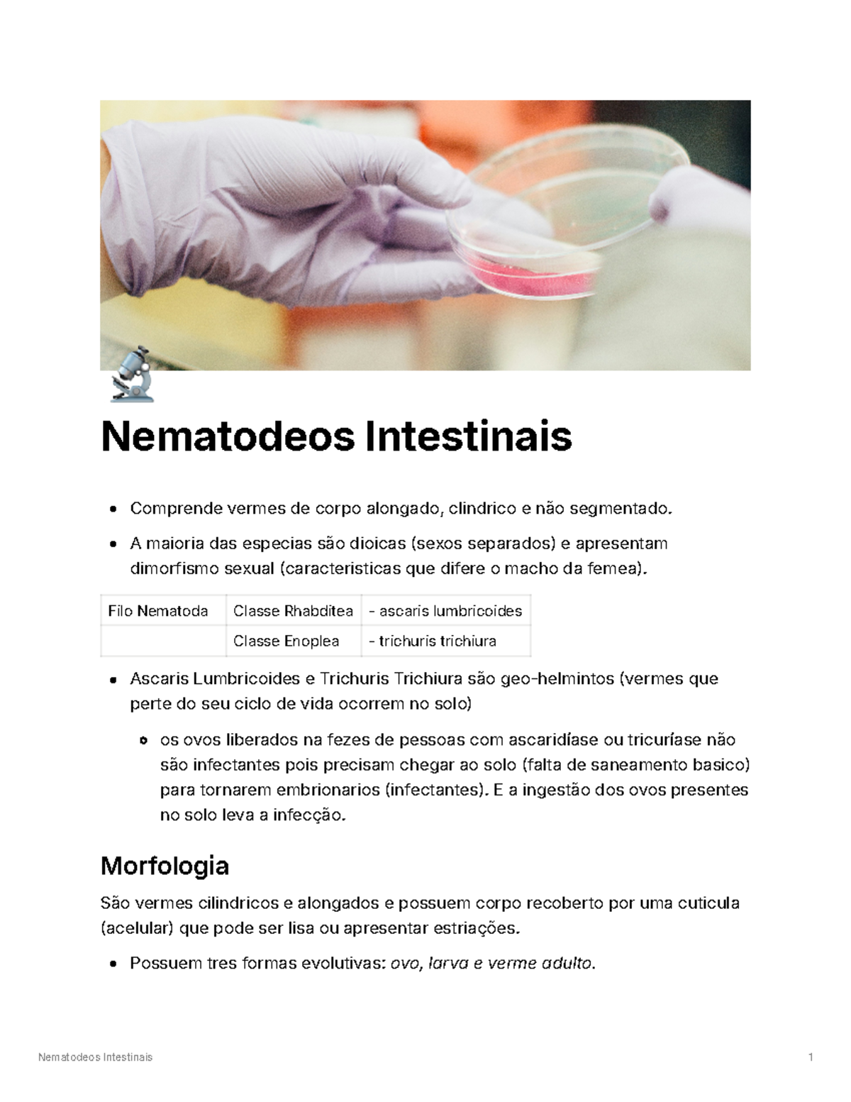 Nematodeos Intestinais - 🔬 Nematodeos Intestinais Comprende vermes de ...