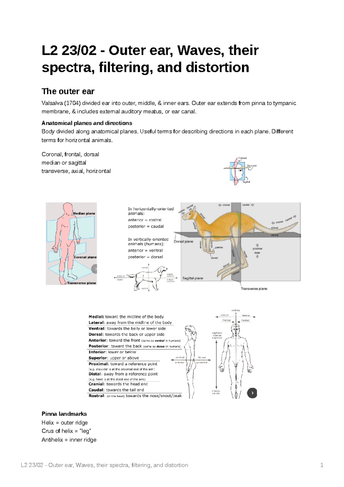 L1-11 notes combined - L2 23/02 - Outer ear, Waves, their spectra ...