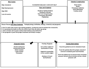 Clinical Concept Map. Updated.FALL.21 - Clinical Experience Concept Map ...