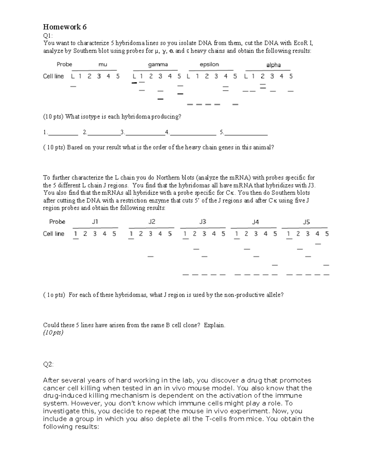 Homework assignment - Q1: You want to characterize 5 hybridoma lines so you isolate DNA from ...