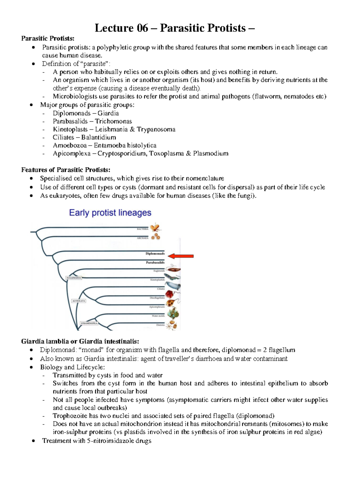 Lecture 06 - Parasitic Protists - Warning: TT: undefined function: 32 Parasitic Protists ...