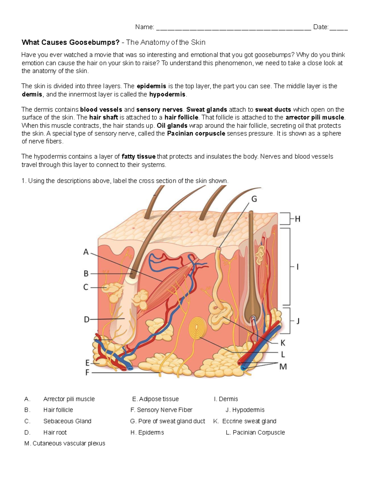 What Causes Goosebumps - Name ...