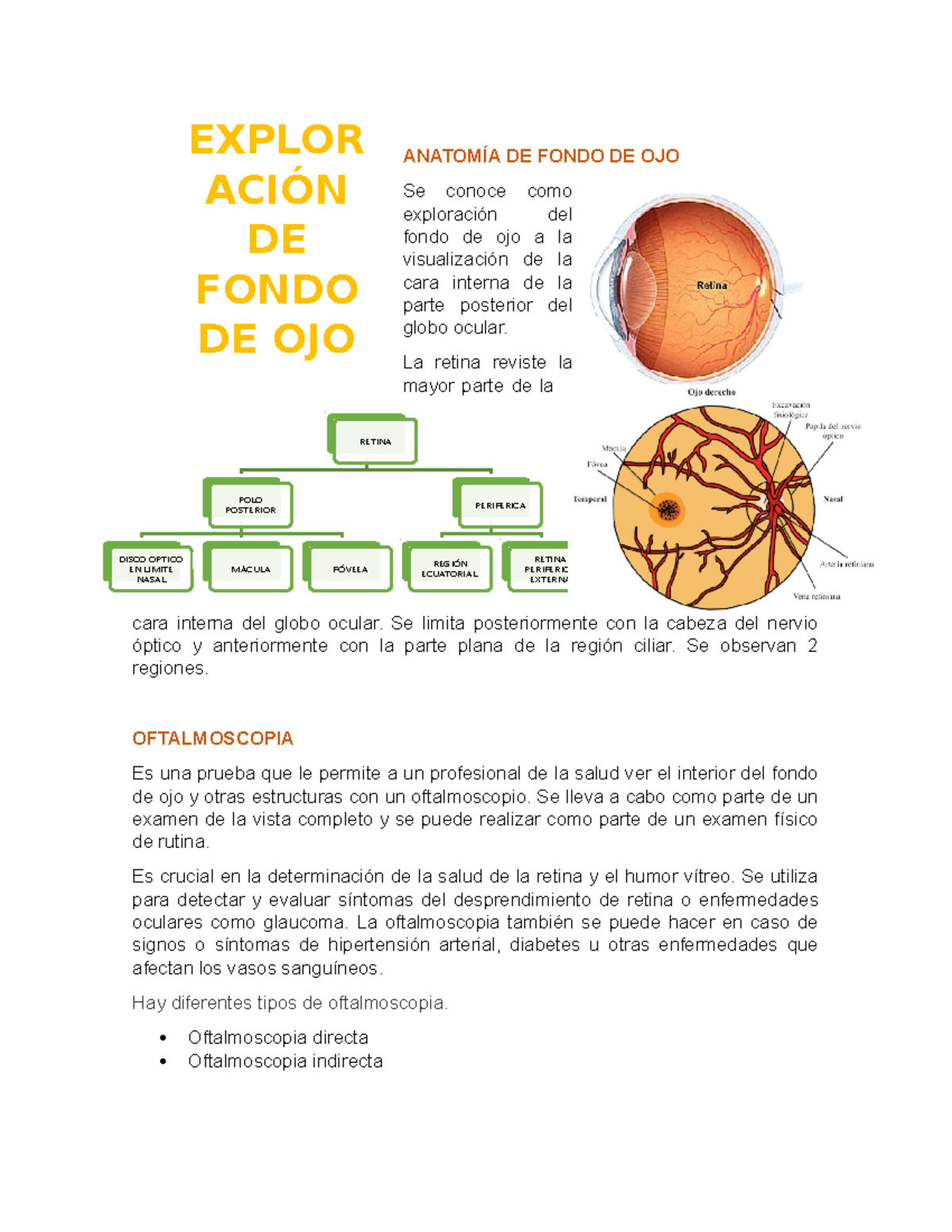 Oftalmoscopia (Fondo de ojo) - ANATOMÍA DE FONDO DE OJO Se conoce como ...