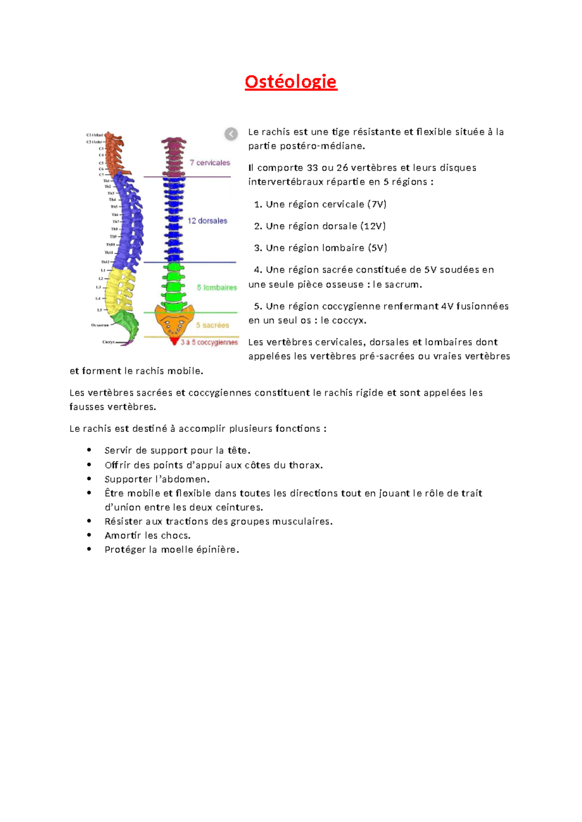 Anatomie osthéologie - Ostéologie Le rachis est une tige résistante et ...