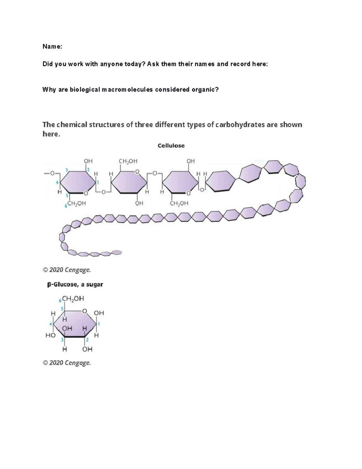 Carbohydrate Assignment - BIOL1107 - UConn - StuDocu