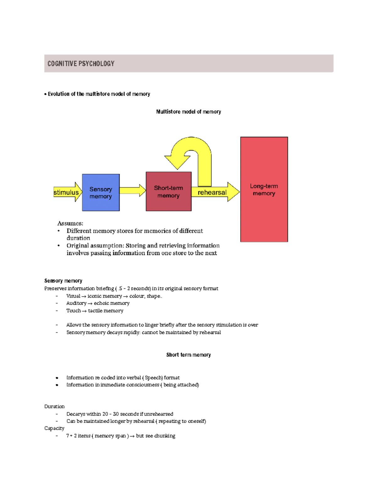 Multistore Model Of Memory Studying Psychs