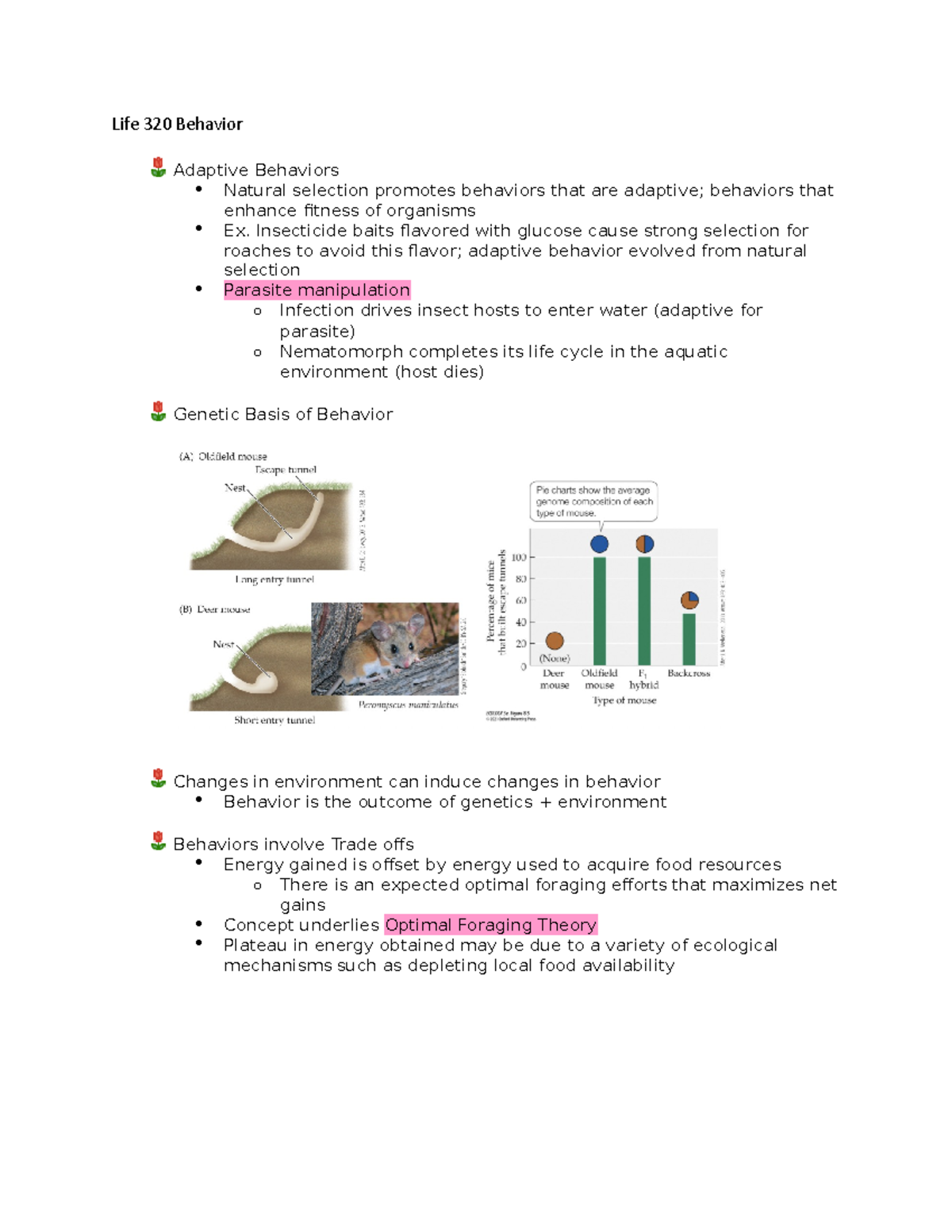 Life 320 Behavior - Ecology - Life 320 Behavior Adaptive Behaviors ...