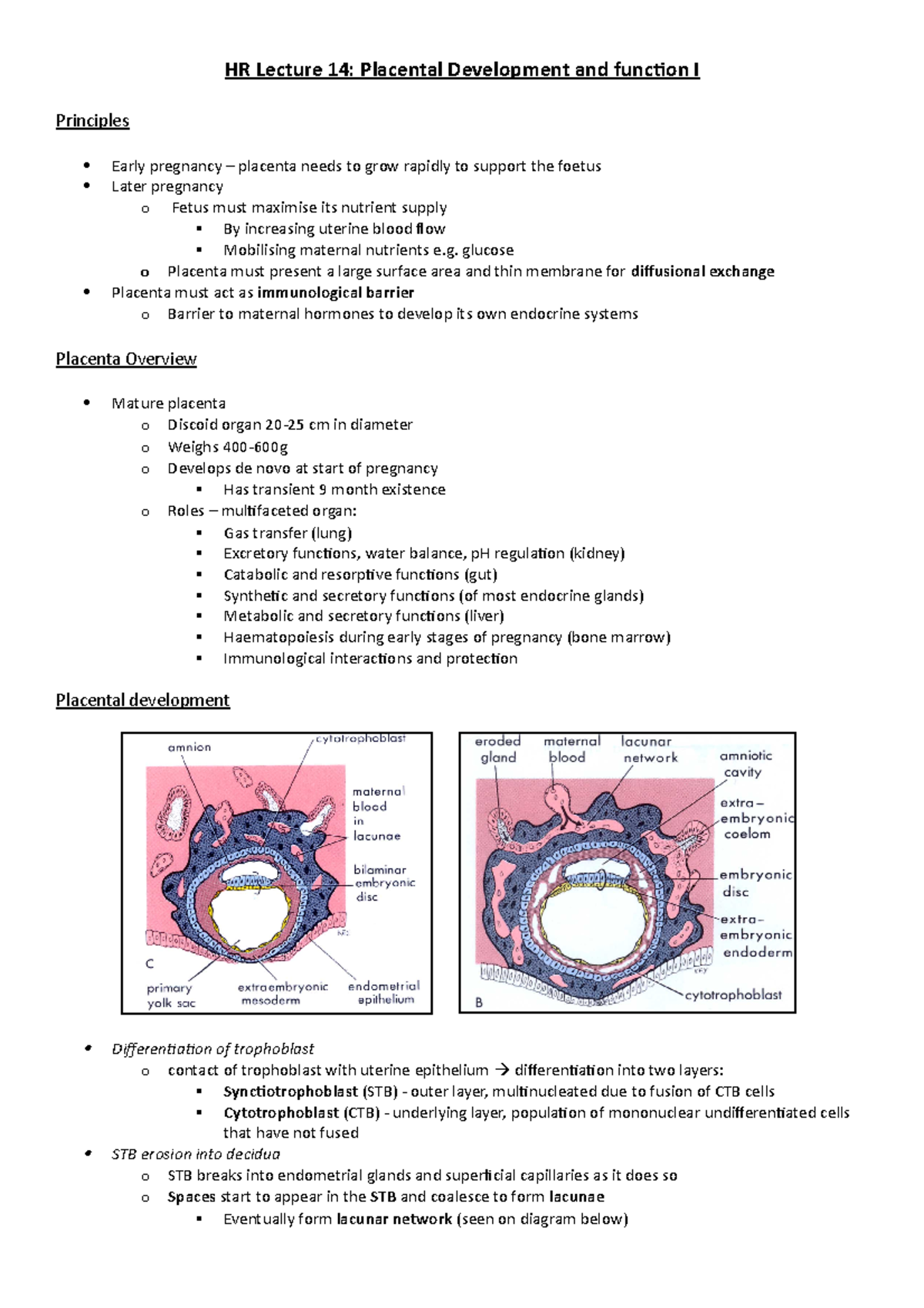 HR Lecture 14-Placental development and function I - glucose o Placenta ...