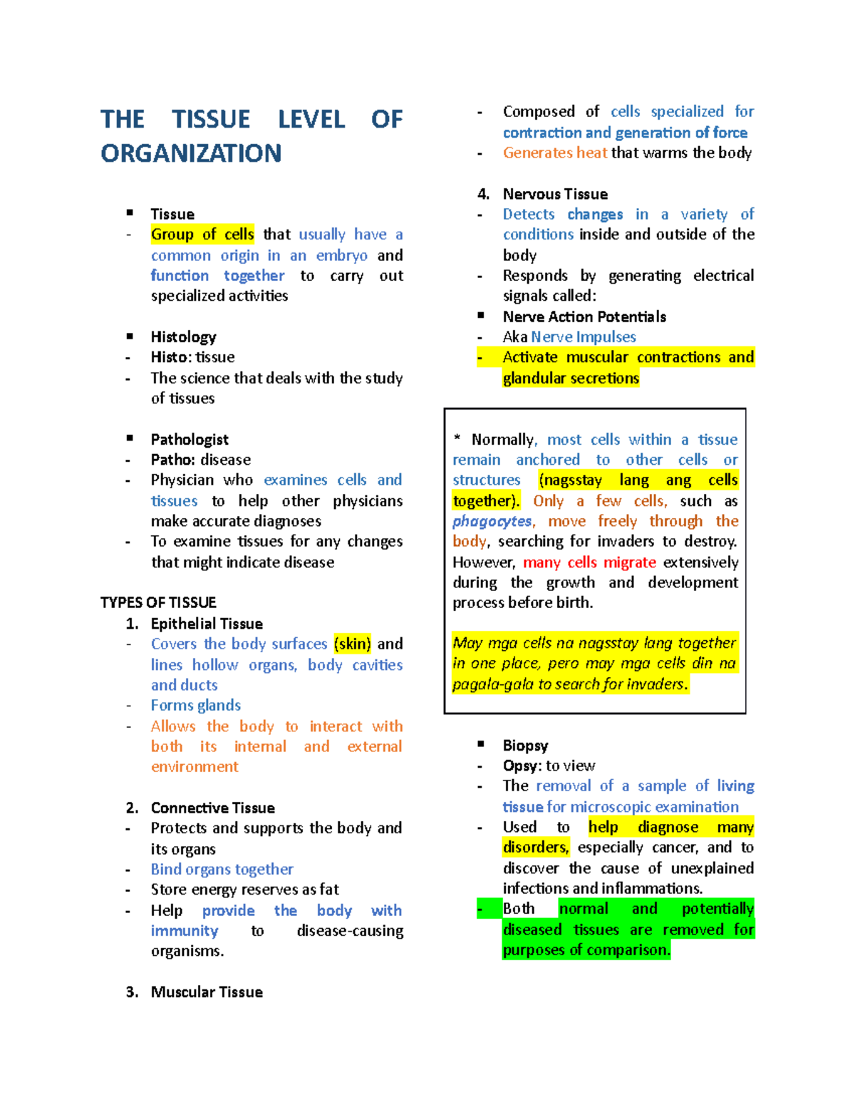 Chapter 4 - Tissues - THE TISSUE LEVEL OF ORGANIZATION Tissue Group of ...