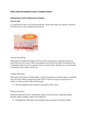 Reproductive worksheet - Worksheet D236 Pathophysiology – Section 7 ...
