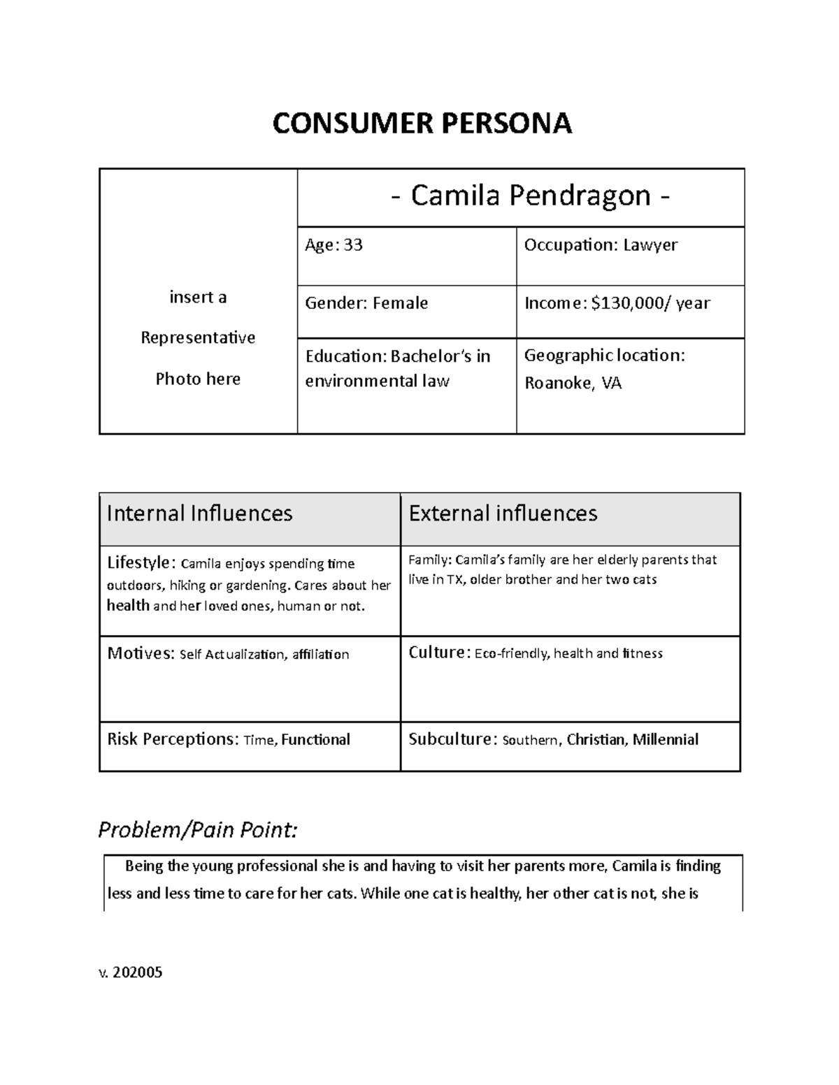 Consumer Persona Executive - CONSUMER PERSONA insert a Representative ...