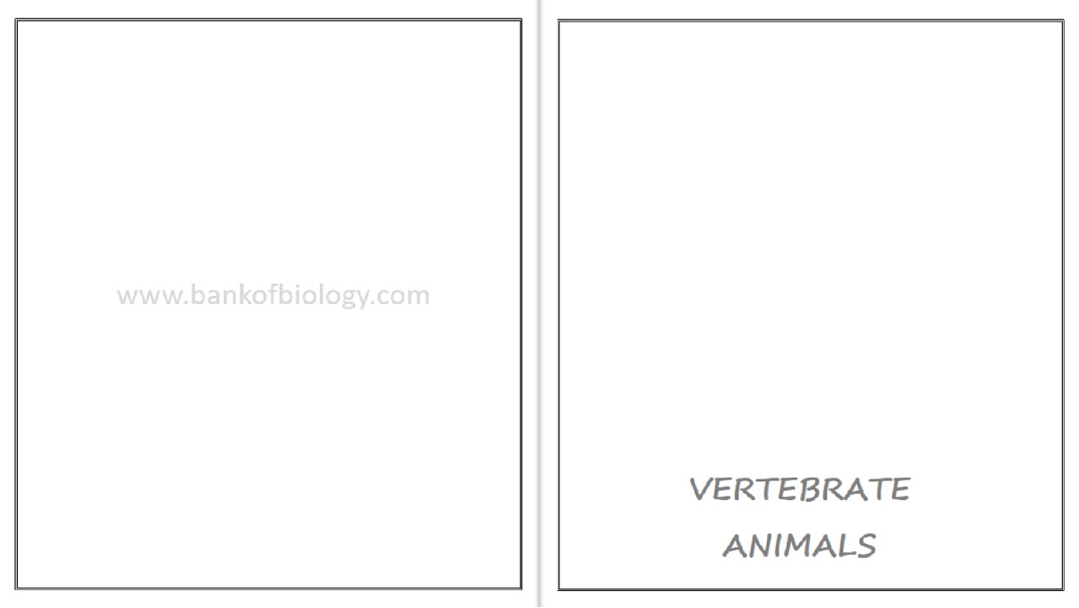 Vertebrate Animals - Practical meterials - Zoology plus two - Studocu