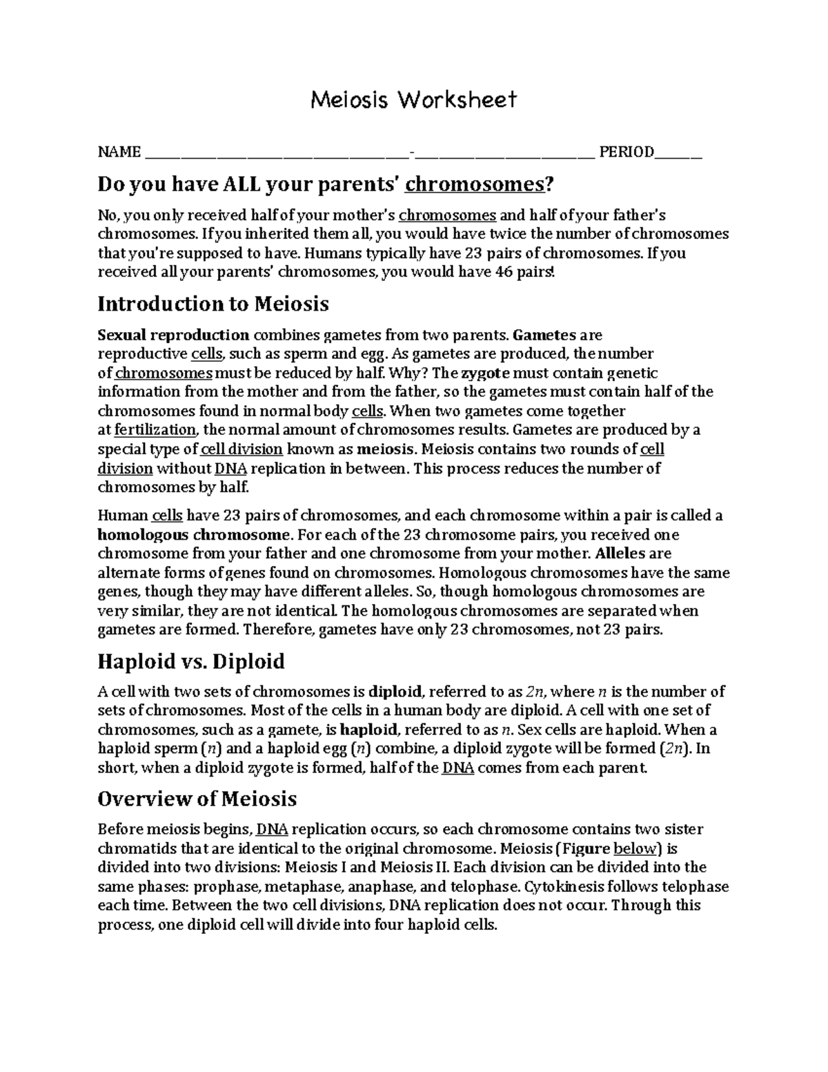 Biology Meiosis Worksheet - Meiosis Worksheet NAME ______- PERIOD Do ...