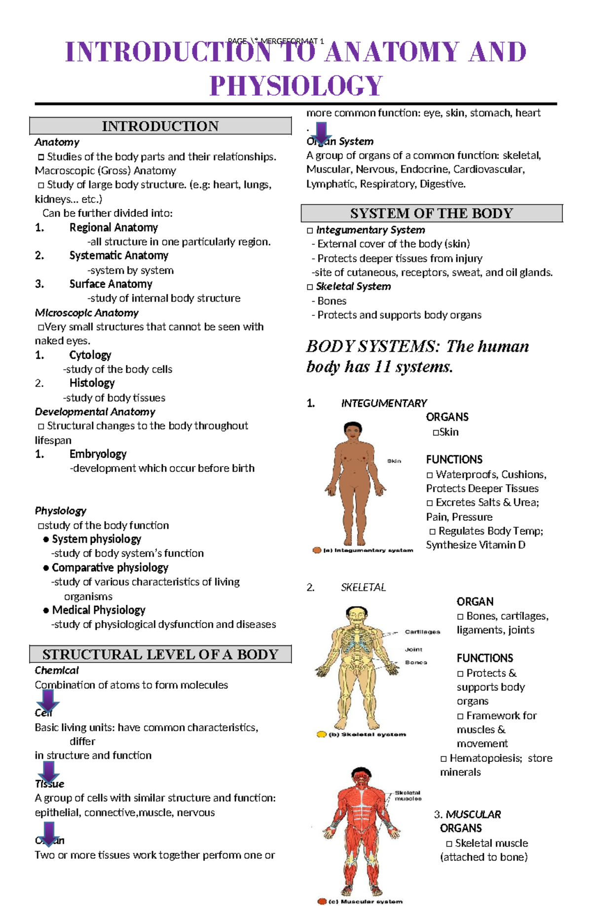 1. Intro TO ANA & Physio lec - INTRODUCTION TO ANATOMY AND PHYSIOLOGY ...