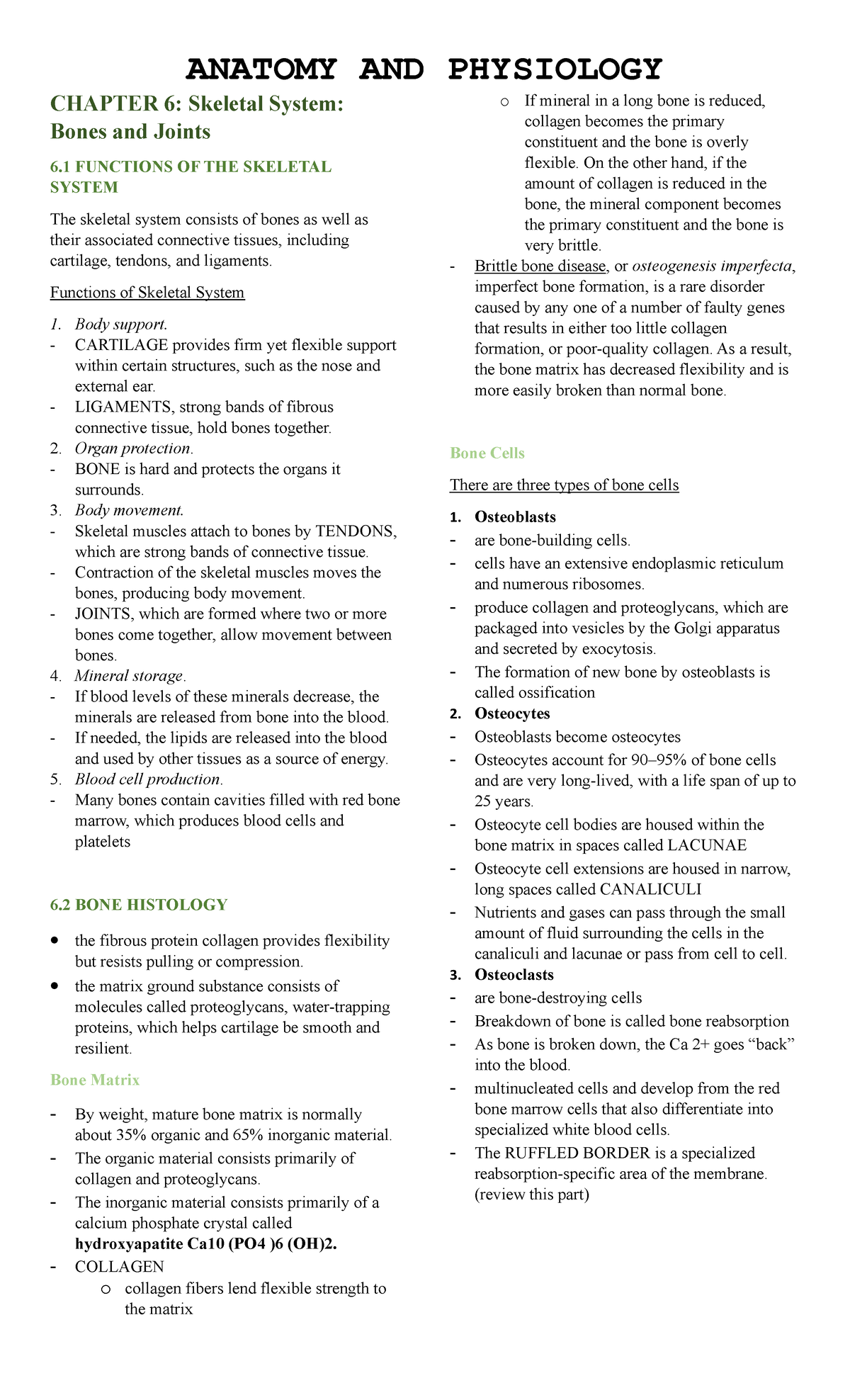 Chapter 6 Anaphy transes - CHAPTER 6: Skeletal System: Bones and Joints ...