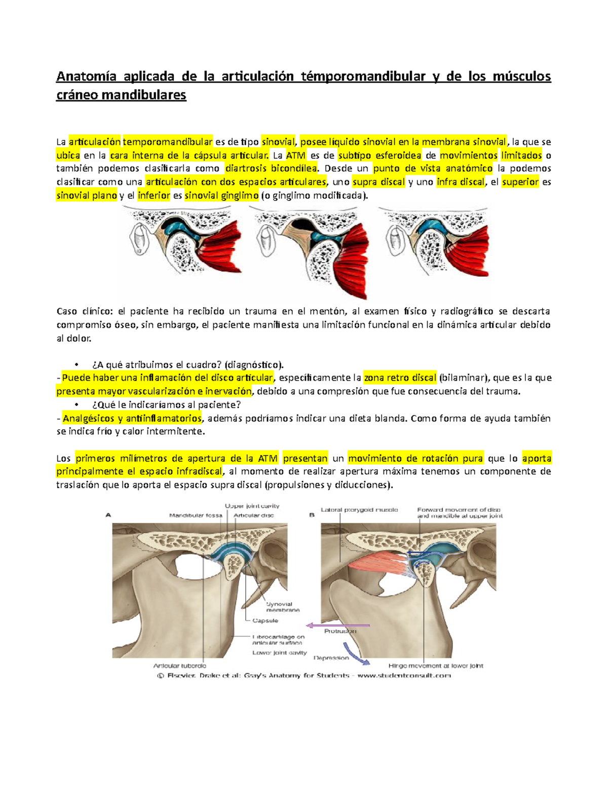 Anatomía aplicada de la articulación témporomandibular y de los ...