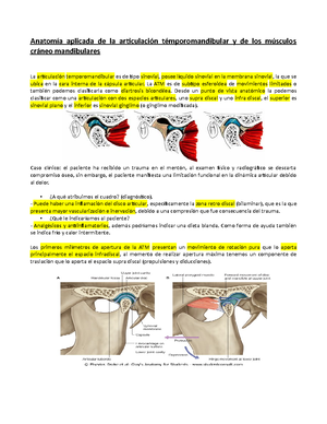 Tecnica SPIX Indirecta - TECNICA SPIX INDIRECTA Reparos anatómicos ...