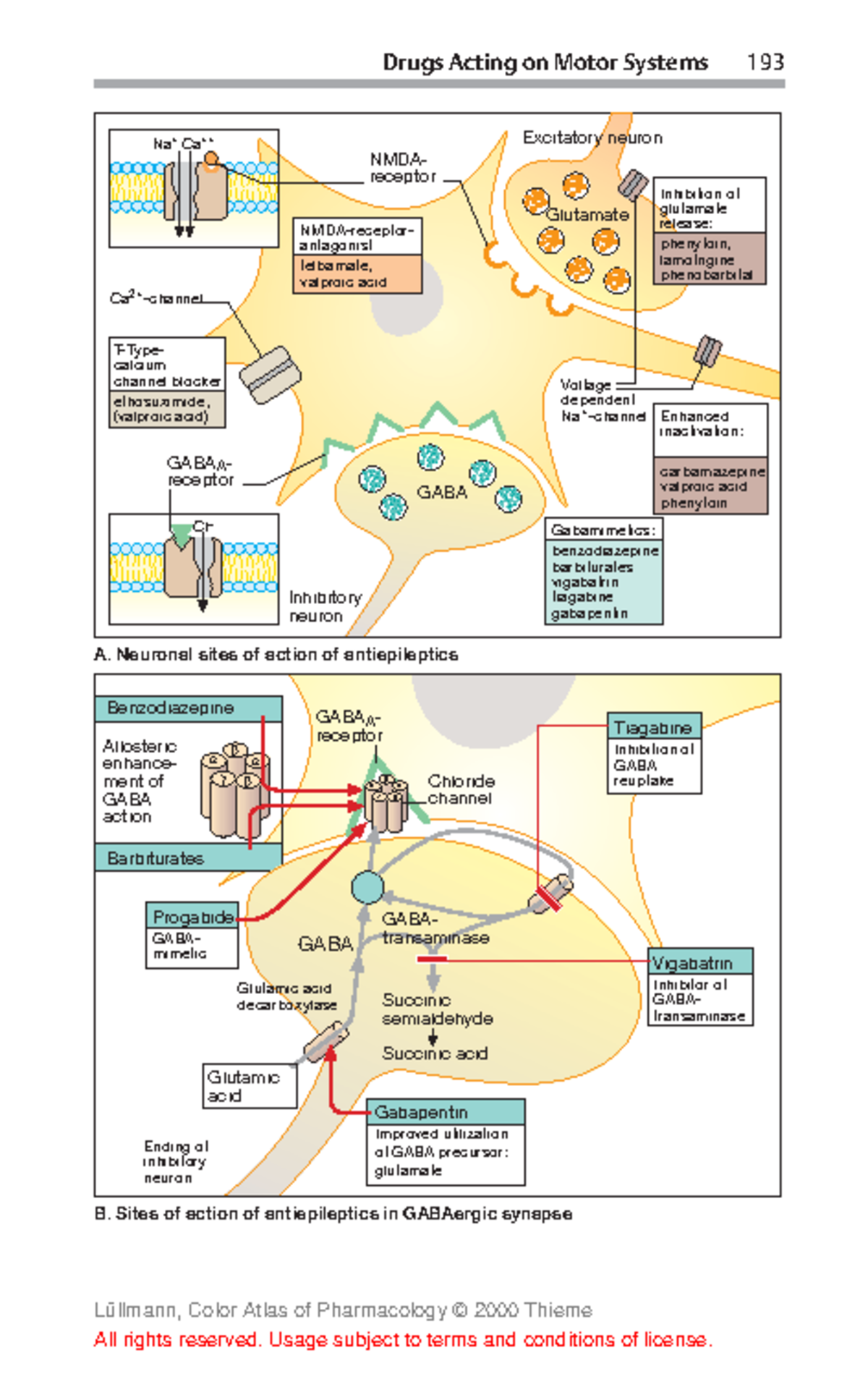 Anti-tb-41 - Drugs Acting on Motor Systems 193 A. Neuronal sites of ...