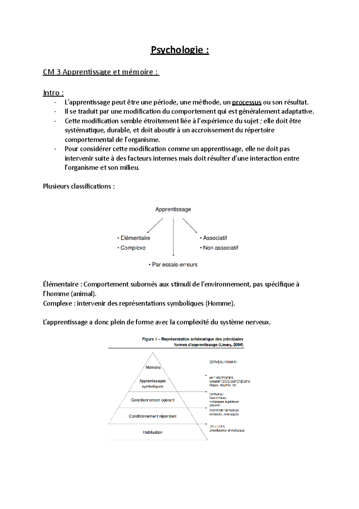 Psychologie CM3 L1 STAPS - Psychologie : CM 3 Apprentissage et mémoire ...