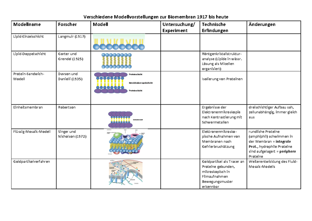Überblick Verschiedene Modellvorstellungen zur Biomembran 1917 bis ...