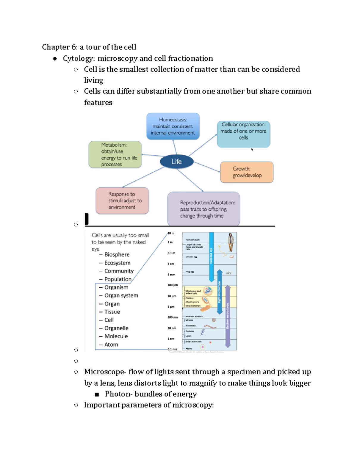 Ch 6 bio notes - Chapter 6: a tour of the cell Cytology: microscopy and ...