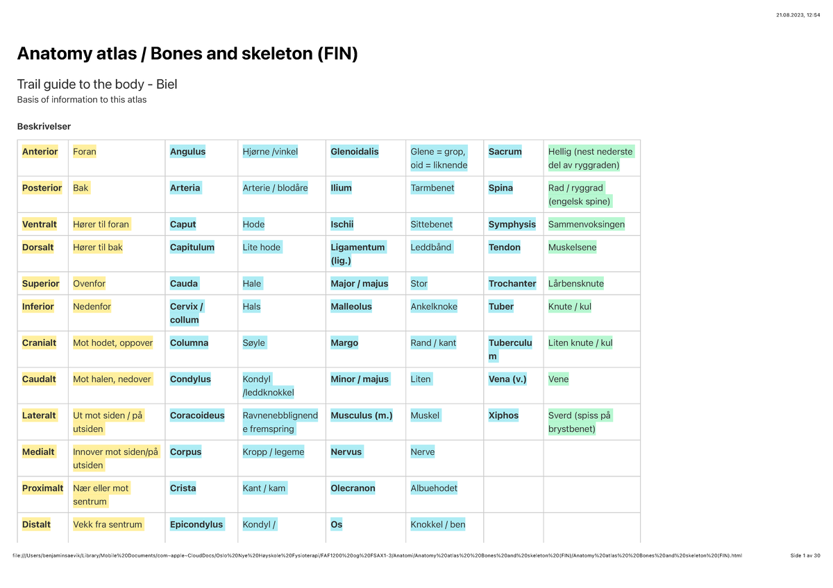 Anatomy atlas Bones and skeleton - Anatomy atlas / Bones and skeleton ...