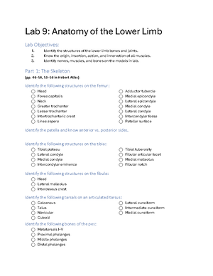 NM Phys Lab Report - Neuromuscular Physiology: Exploring Muscle ...