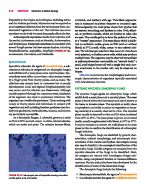 Sdfh fhf t r yzsahf sdfh - Buhay, Mga Gawain at Sinulat ni Rizal - Studocu