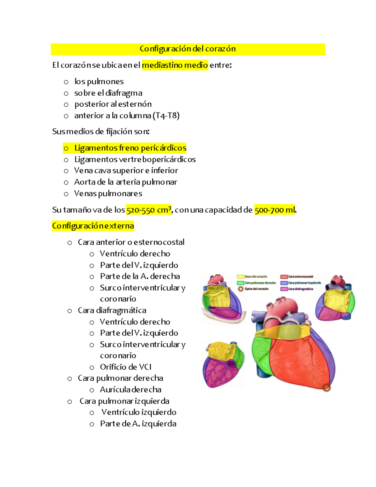 Guia de Cardiologia - Resumen Cardiología - Configuración del corazón ...