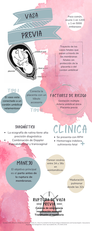 IVU - GPC Rev Col Urología. 2018 - Guía de práctica clínica de ...