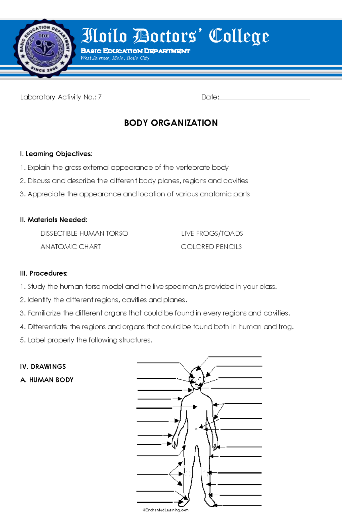 BIO-2-LAB-7-BODY- Organization - BODY ORGANIZATION I. Learning ...
