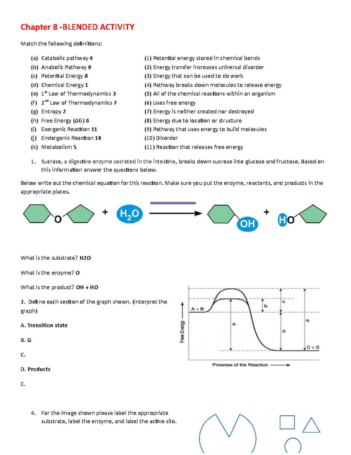 WEEK 5 HW Chapter 8 - Chapter 8 -BLENDED ACTIVITY Match the following ...