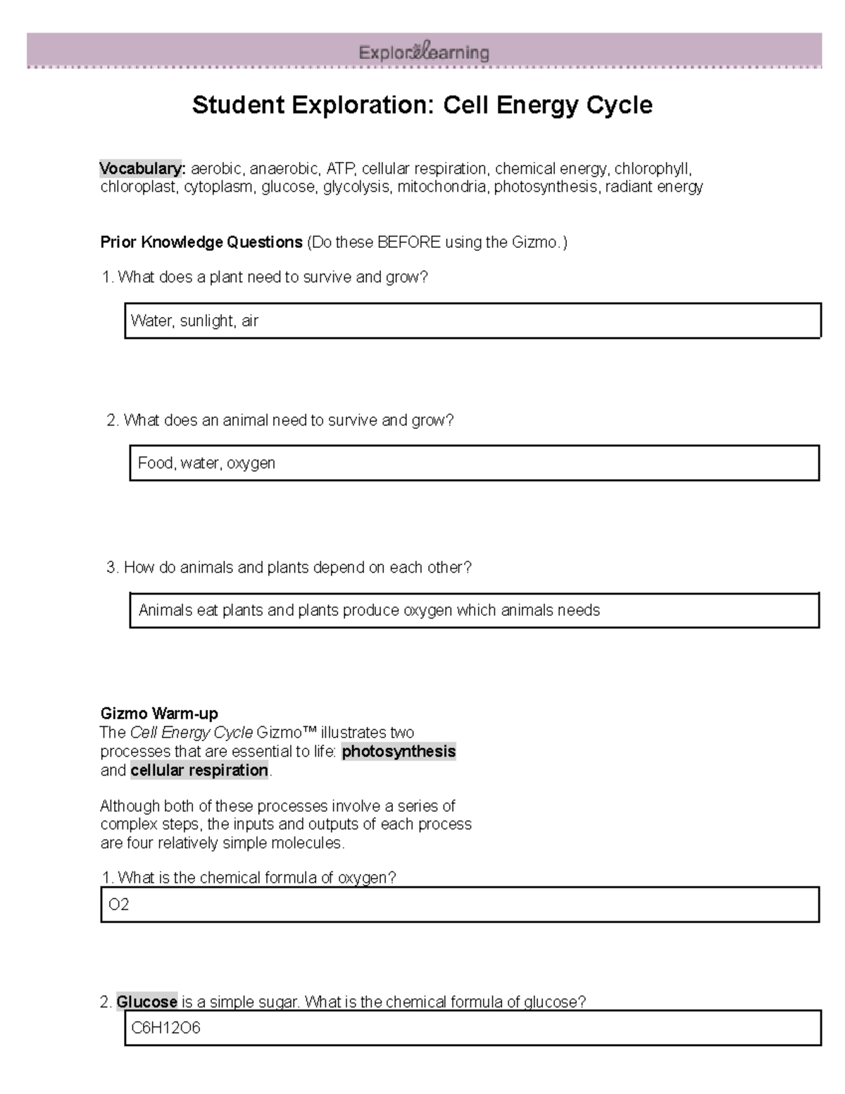 Copy of Cell Energy SE - n/a - Student Exploration: Cell Energy Cycle ...