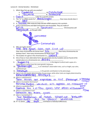 Lecture 7 – Animal Microbiology – Worksheet - Lecture 7 – Animal ...