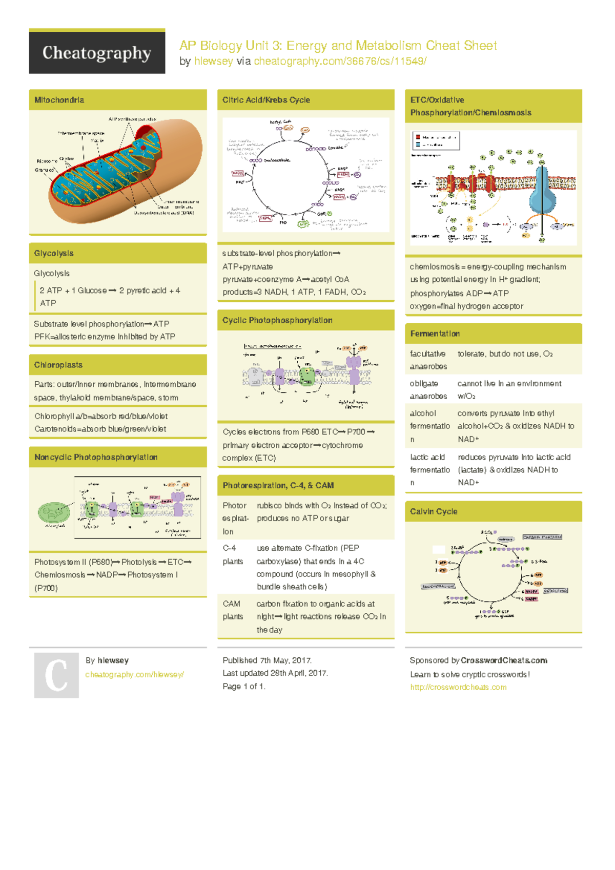 (Biology) Energy and Metabolism - AP Biology Unit 3: Energy and ...