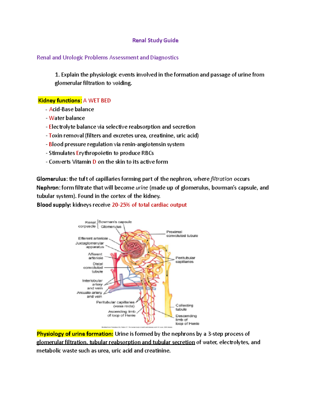 Copy of Renal Study Guide - Renal Study Guide Renal and Urologic ...