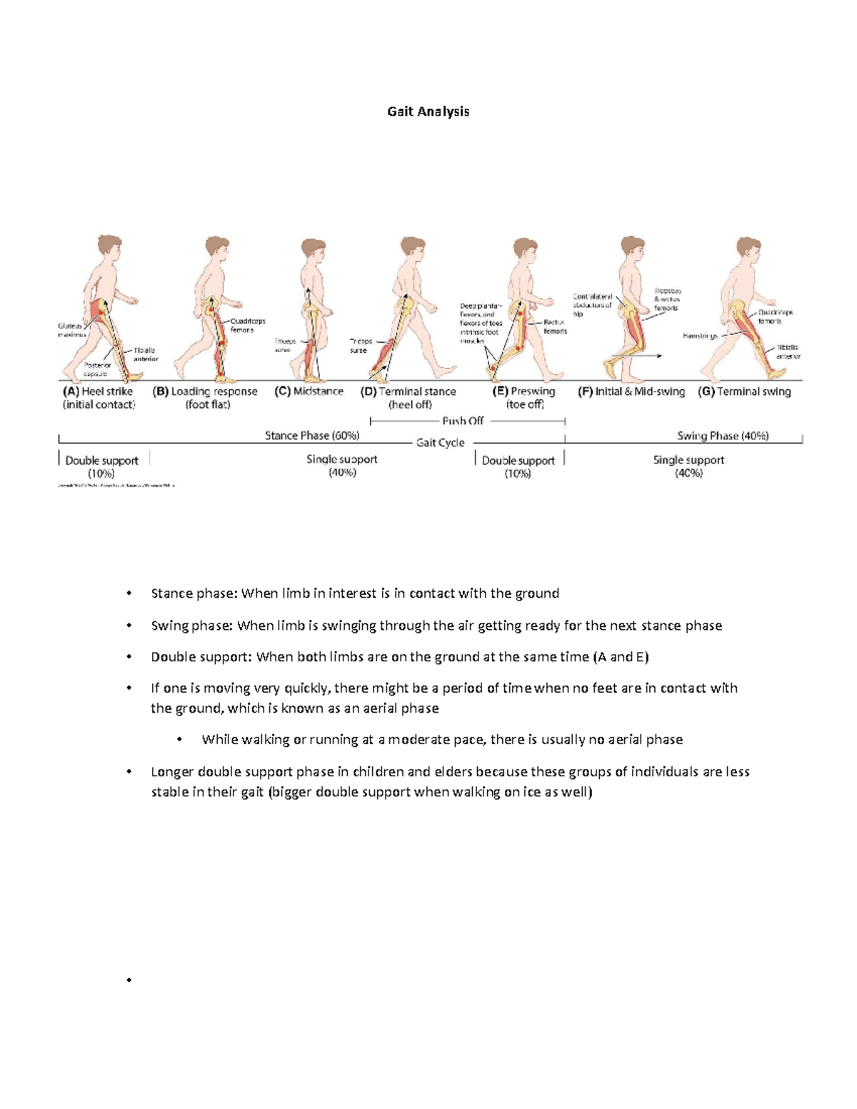 Gait Analysis - BIO 2233 Fall 2021 Instructor: Prof. Frank Nelson ...