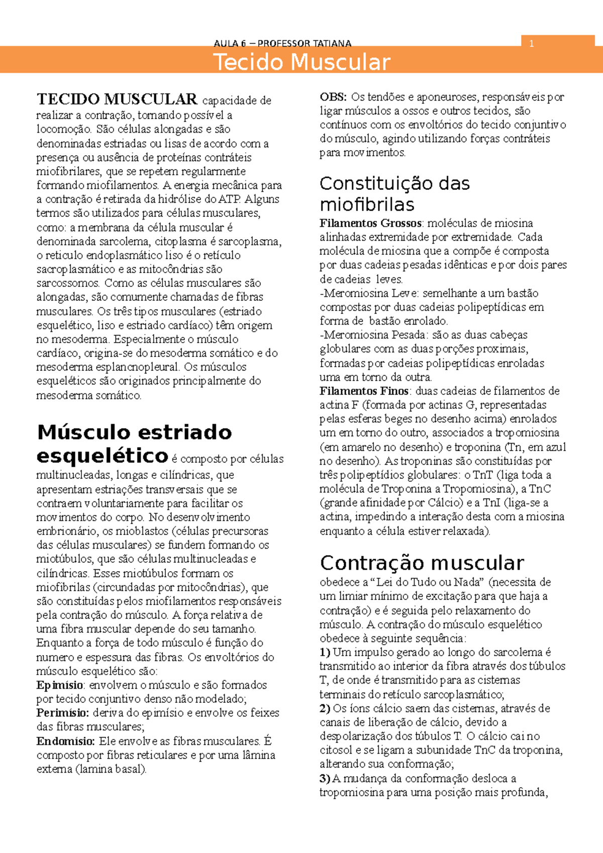 7. Tecido Muscular - Warning: TT: more functions defined than expected AULA 6 – PROFESSOR ...