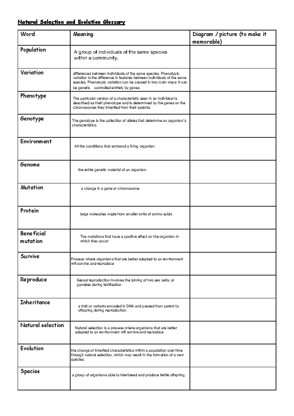 Evolution Glossary to fill in - Natural Selection and Evolution ...