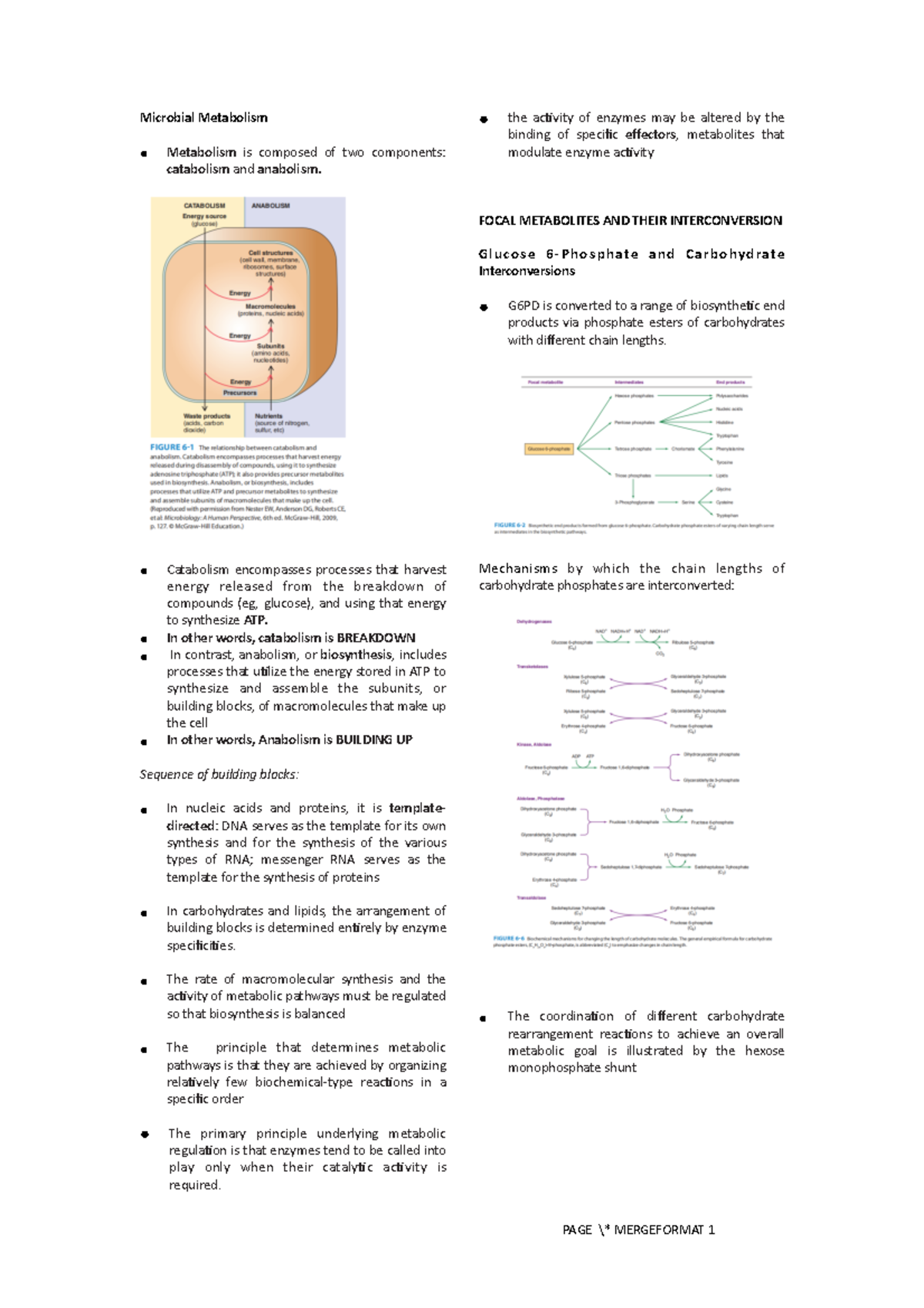 Microbiology- Metabolism, Genetics and Pathogenesis of Bacterial Infections - Microbial ...
