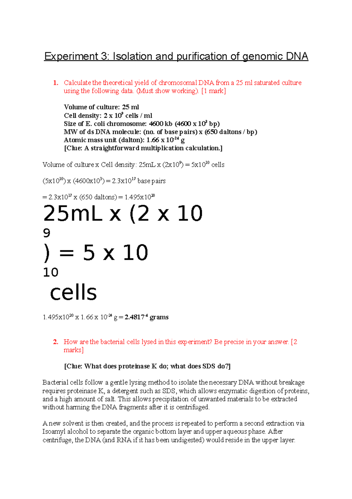 Experiment 3 Molecular Biology Isolation and purification of genomic ...