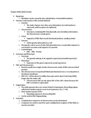 Microbiology Chapter 4 - Chapter 4 (Test #2) The Cell Wall o Prevents ...