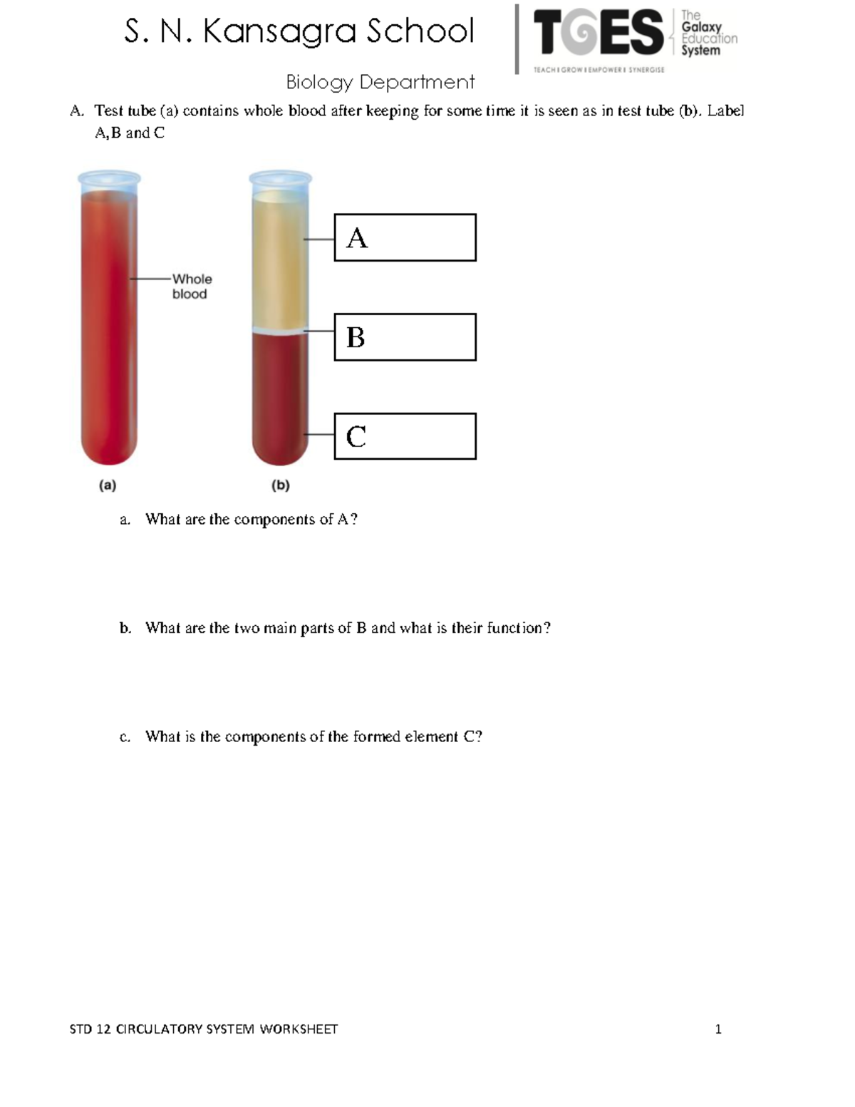 Worksheet - Biology Department A. Test tube (a) contains whole blood ...