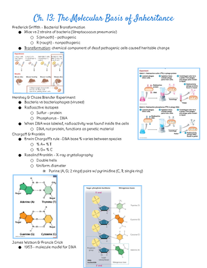 Ch. 3: Carbon and the Molecular Diversity of Life - Ch. 3: Carbon and ...